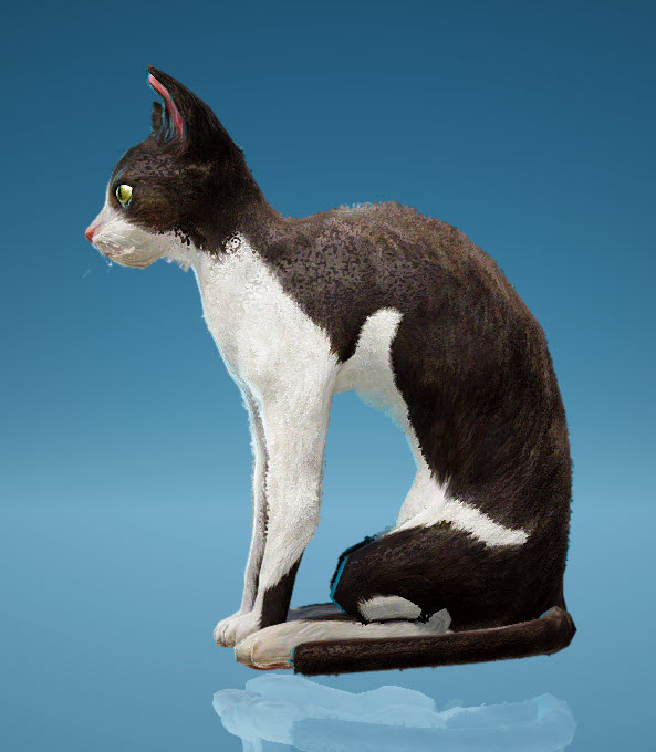 BDO Fashion | Piebald Cat (Black Desert Online)