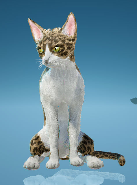 BDO Fashion | Piebald Cat (Black Desert Online)