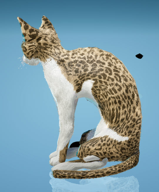 BDO Fashion | Piebald Cat (Black Desert Online)