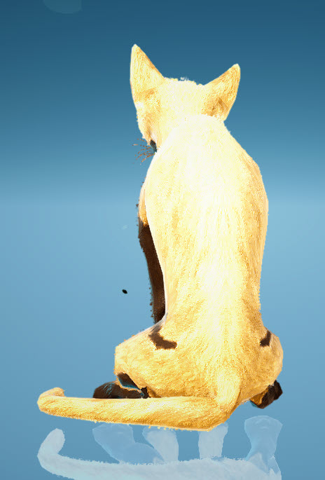BDO Fashion | Piebald Cat (Black Desert Online)