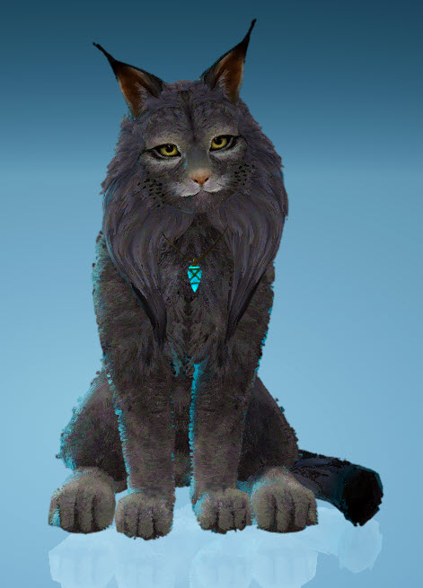 BDO Fashion | Midnight Lynx (Black Desert Online)