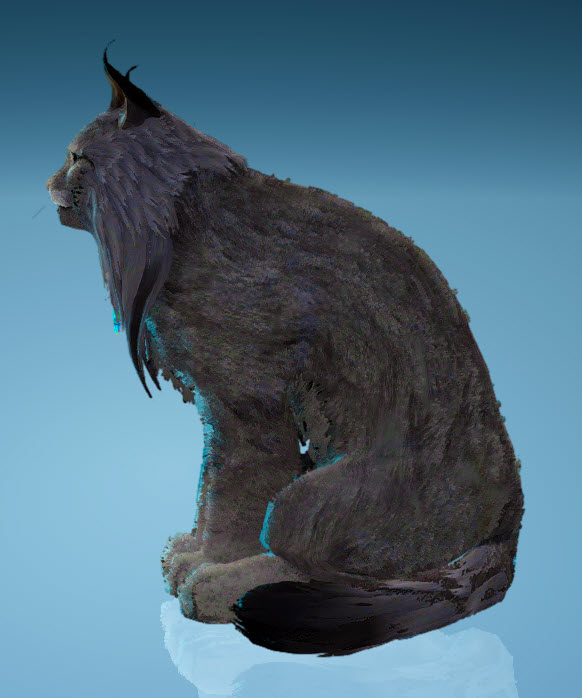 BDO Fashion | Midnight Lynx (Black Desert Online)