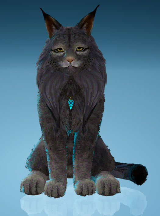 BDO Fashion | Midnight Lynx (Black Desert Online)