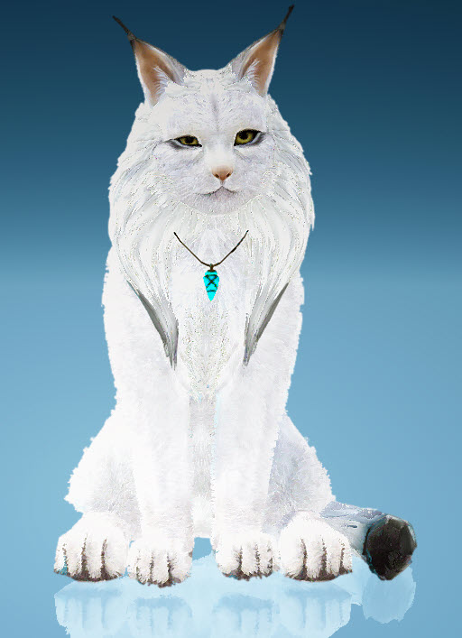 BDO Fashion | Snowlight Lynx (Black Desert Online)