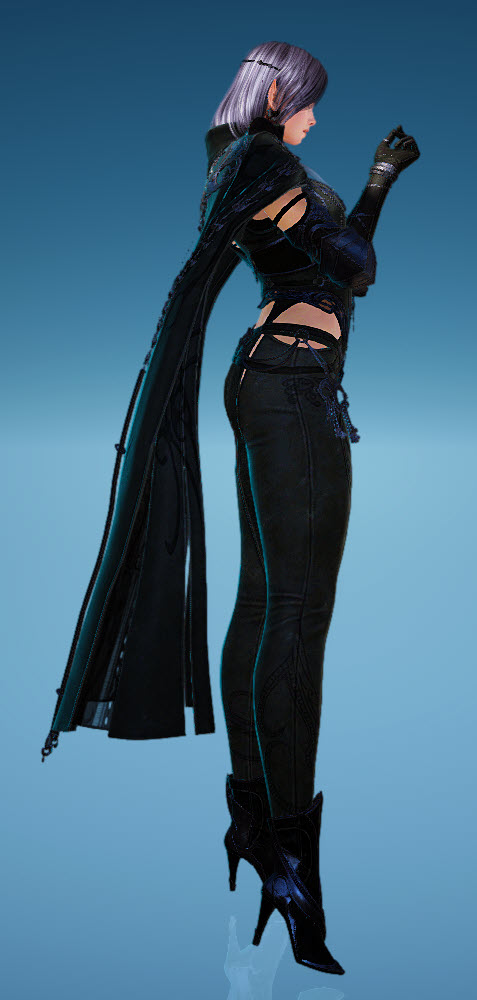 BDO Fashion | [Dark Knight] Nightveil (Black Desert Online)